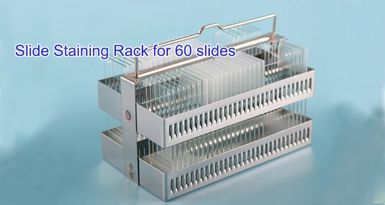 Stainless Steel Slide Staining Rack For 60 Slides - Buy Slide Staining ...