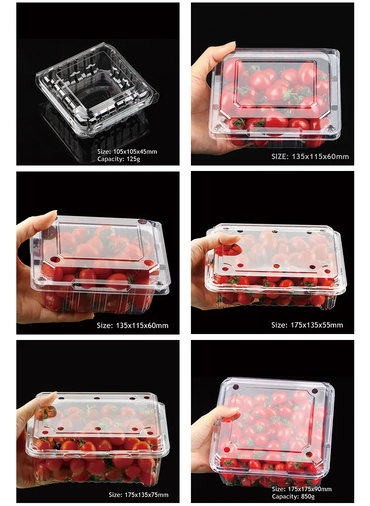 Clear Disposable Plastic Retangular Clamshell Blueberry Packaging ...