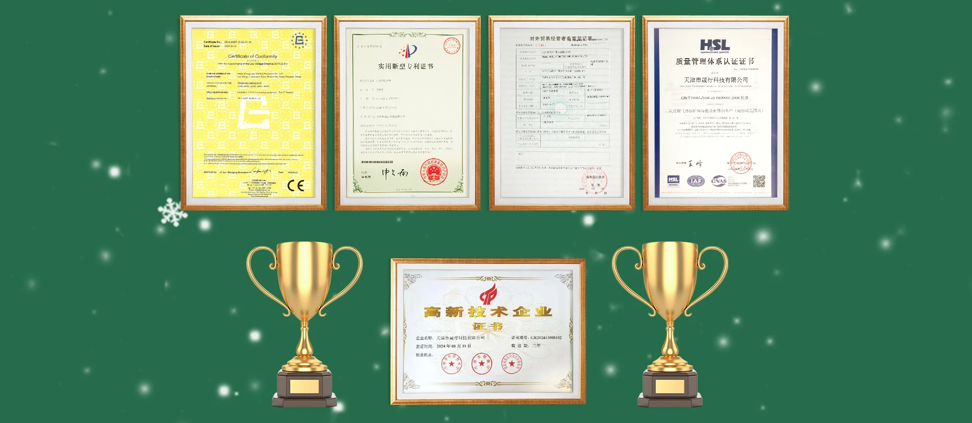 Company Overview - Tianjin Sunton Technology Co., Ltd.