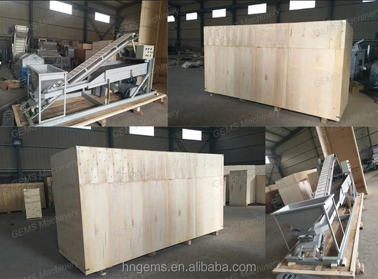 Efficient Nut Shelling with GEMS Pistachio Huller Machine