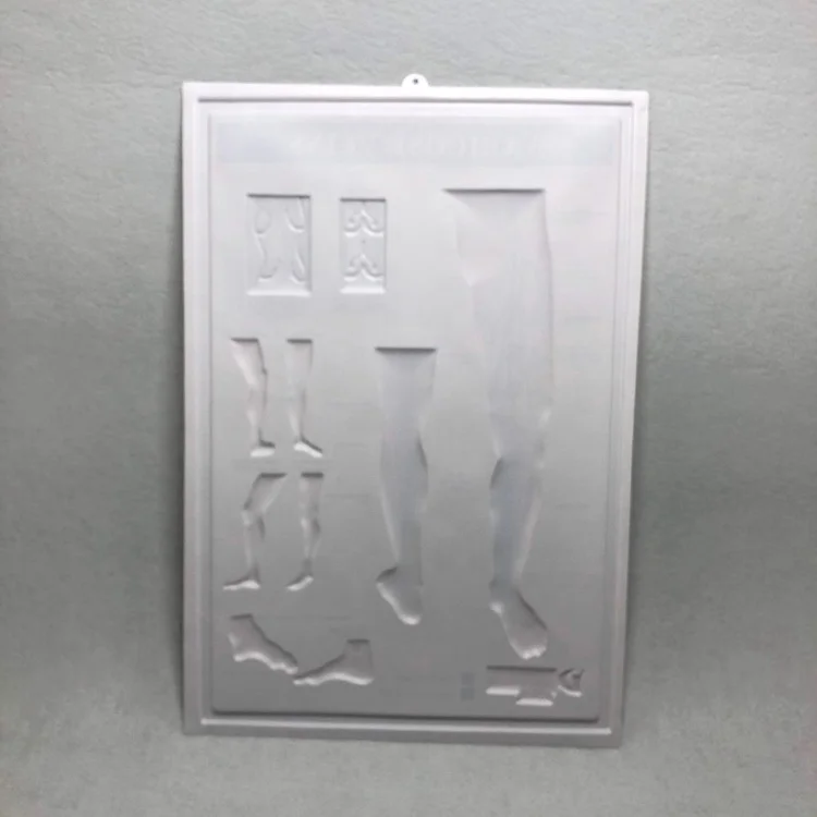 3d Embossed Medical Wall Chart For Hospital - Buy 3d Embossed Wall ...