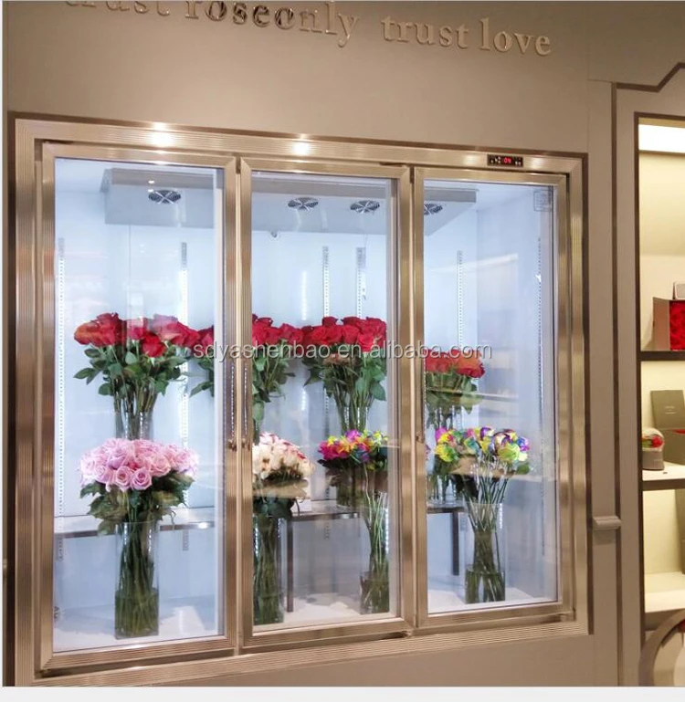 Flower Display Fridge - Transparent Glass Door Refrigerator