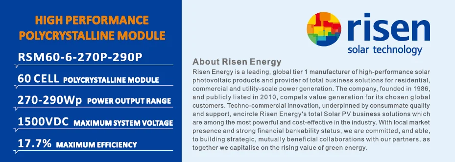 Risen Solar Panels - Efficient Poly Crystalline Solutions