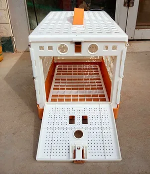 Racing Pigeon Breeding And Shipping Boxes For Sale - Buy Racing Pigeon ...