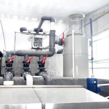 Intensive Fish Recirculating Aquaculture Systems Ras Equipment For ...