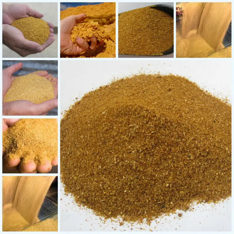 Corn Bran 18 For Animal Feed Grade - Buy Corn Bran,Corn Feed Grade,Corn ...