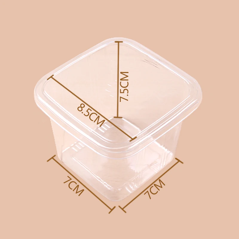 Custom Clear Food Takeout Boxes - Perfect for Ice Cream & More