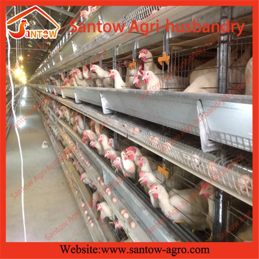 Vertical H Type Chicken Cage Poultry Layer Cage Poultry Cage Rearing In ...