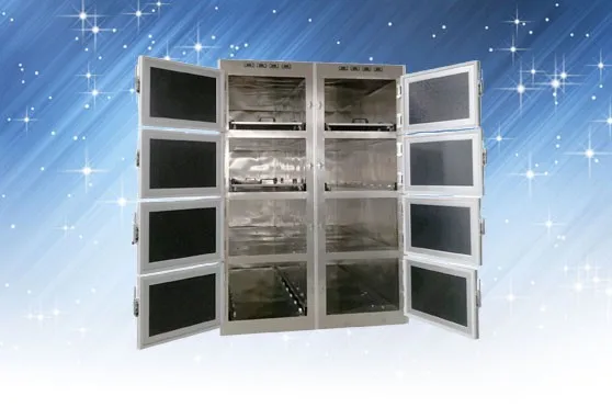 Roundfin Cheap And Portable Refrigerator Coffins Cooler For Dead Body ...
