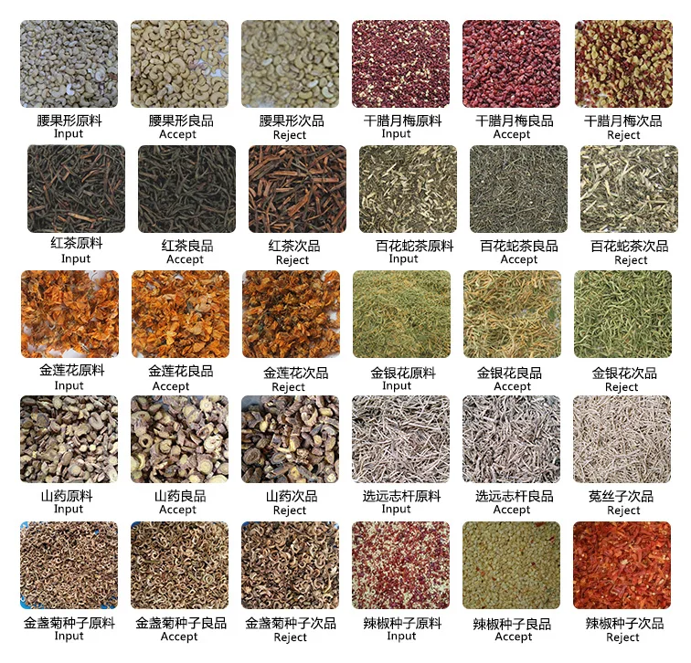 Fish Grading Equipment Prawn Shrimp Size Grading Machine For Fish ...