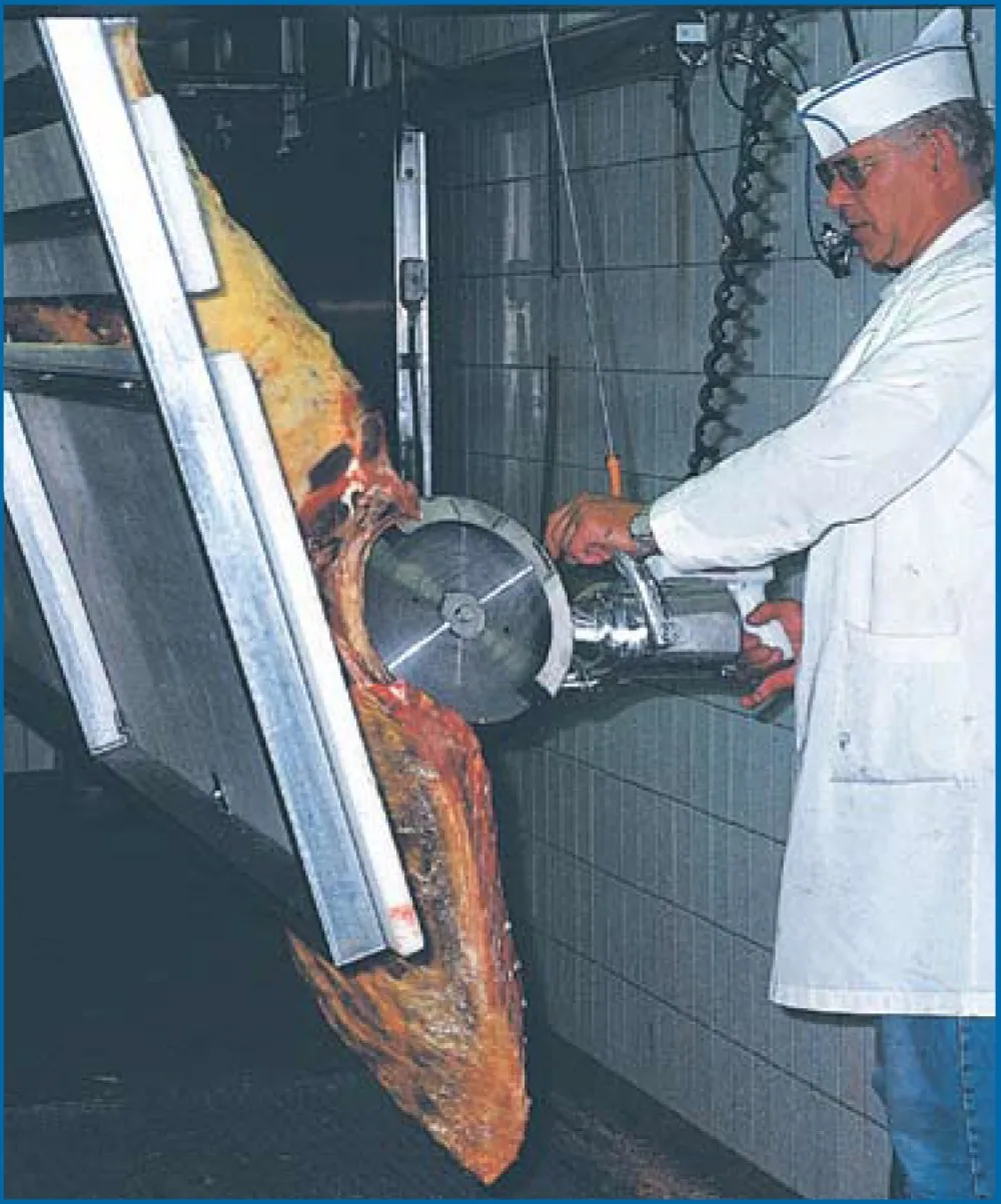 Jarvis Electric Powered Circular Saw for Cattle Slaughter