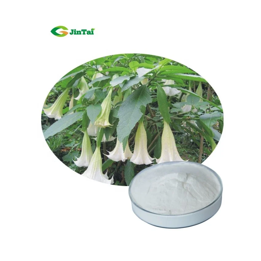 Hot Sell Scopolamine Hydrobromide Powder 98% - Buy Scopolamine 99% ...