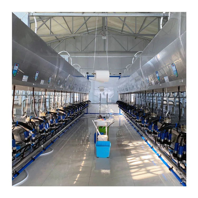 Small Milking Parlor - Robotic Milking Barn Layout for Saudi Arabia