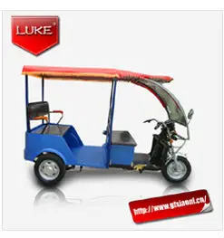 Electric Tricycle for Disabled - 800W Power & Closed Body