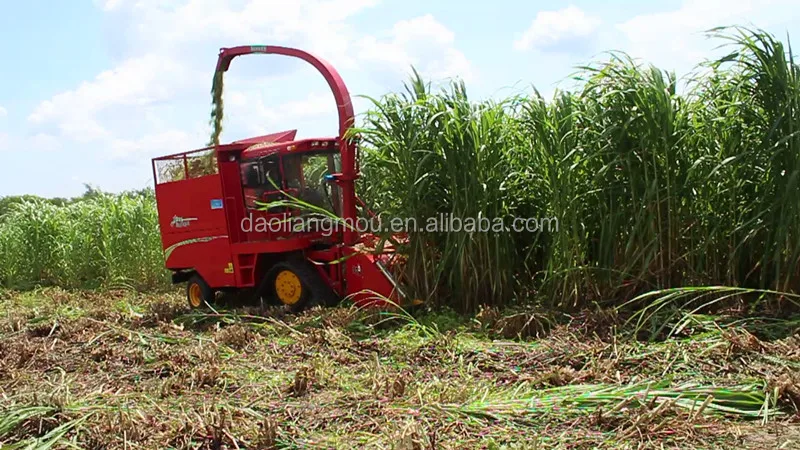 Self Propelled Green Forage Harvester - Mini Corn Combine