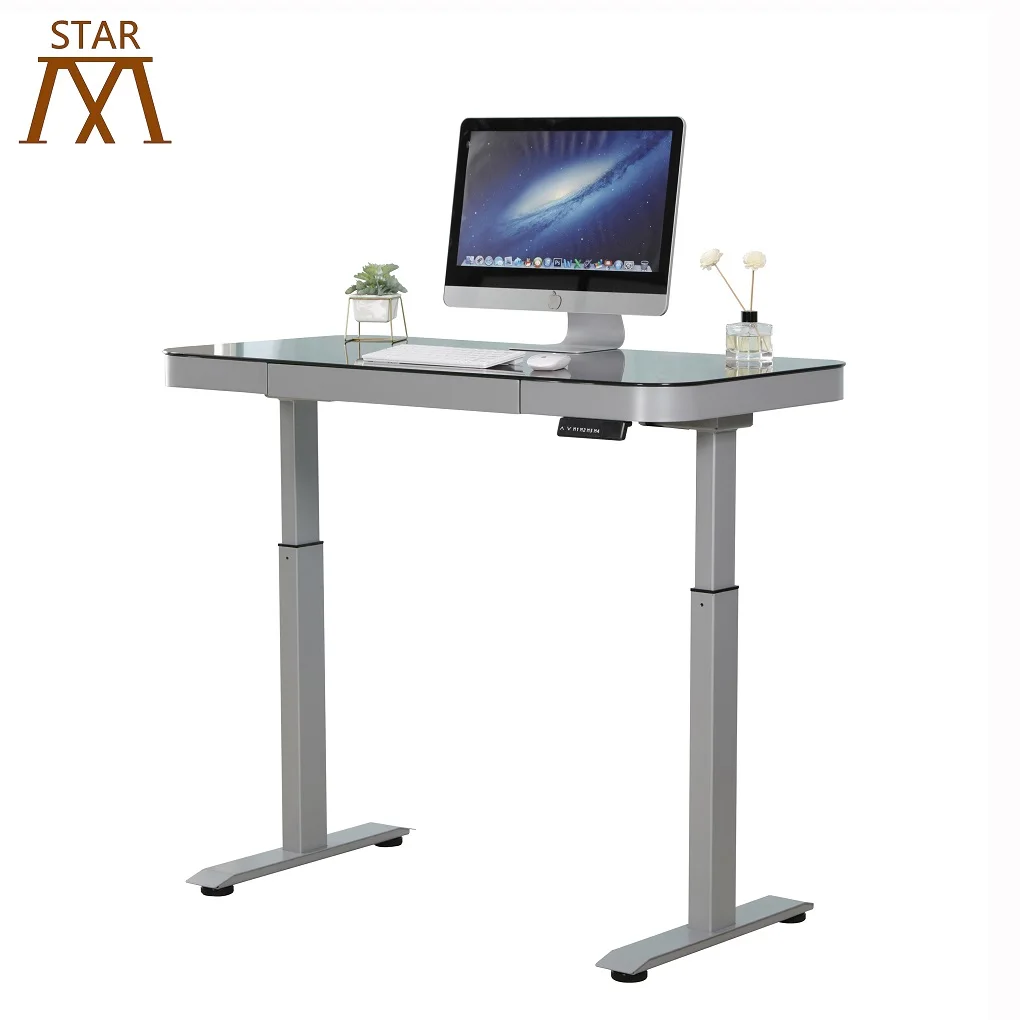 Modern Two Motors Electric Height Adjustable Computer Lift Standing ...
