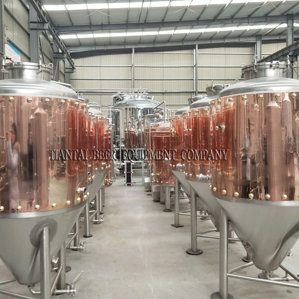 Mini Brewery Brewing Used By Brewers Beer Fermenting Machine For Bottle ...