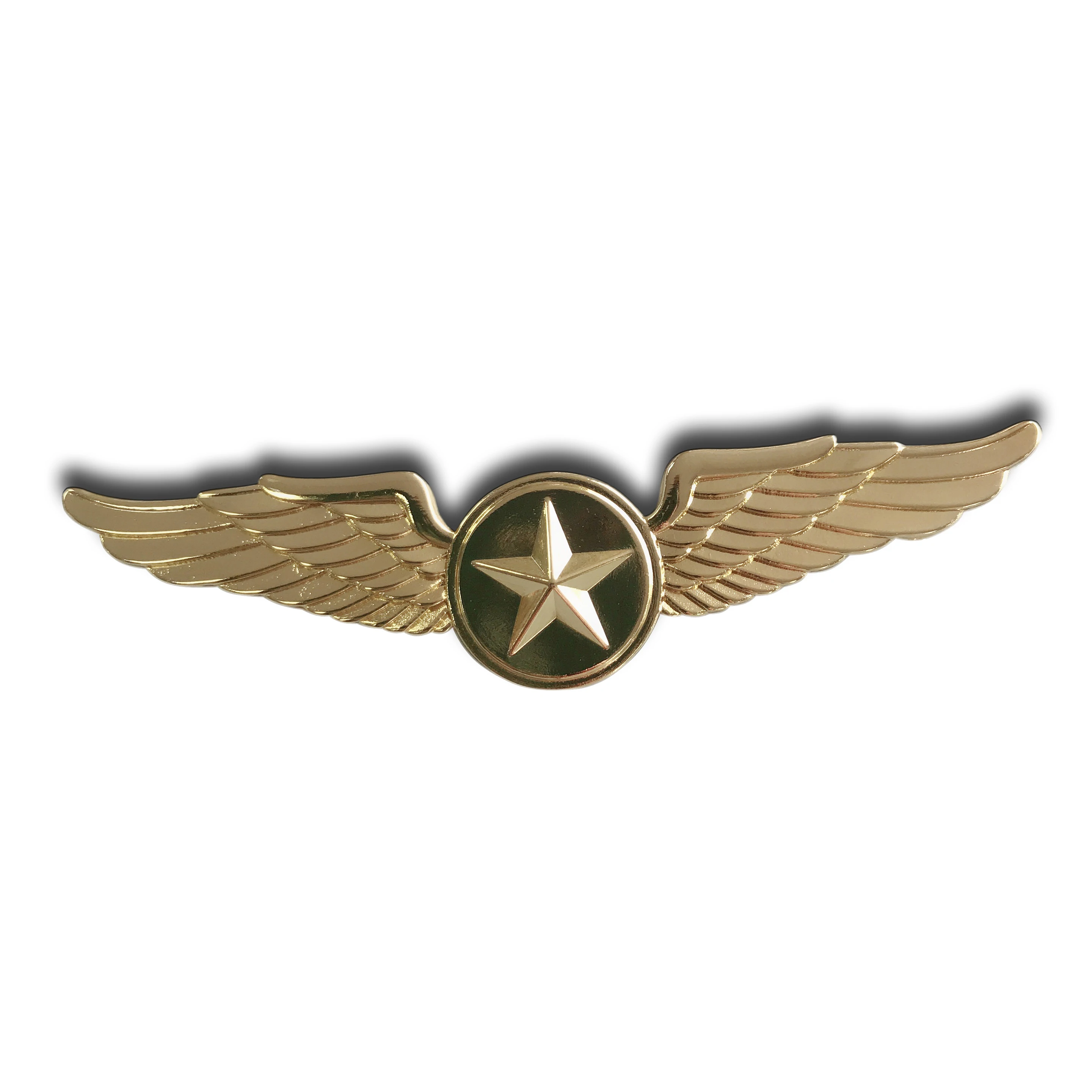 Pilot Wings Badge