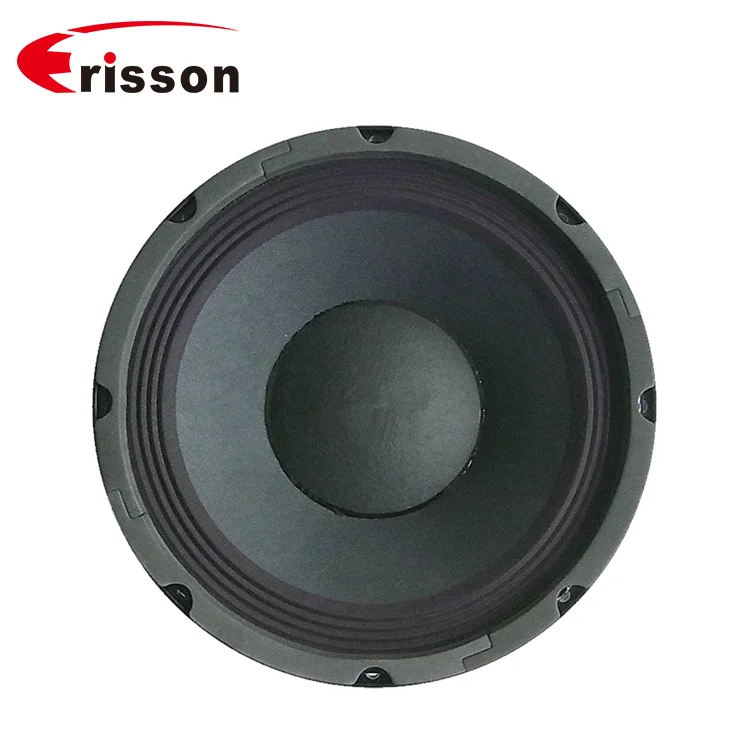 Super 10 Inch 300W Bass Midrange Loudspeaker for Audio & Cars