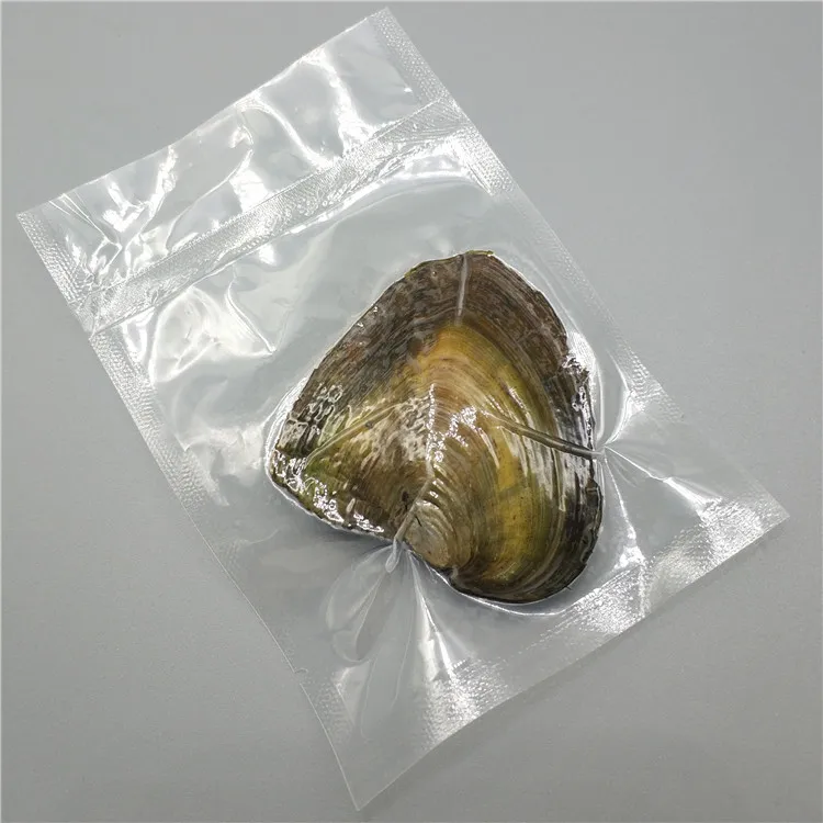 Wholesale Natural Freshwater Real Pearl Oyster Shell Wish
