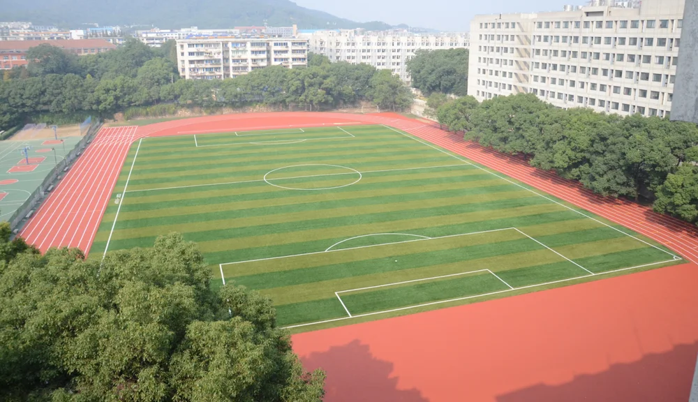 PE Monofilament Artificial Turf 50mm for Soccer Fields