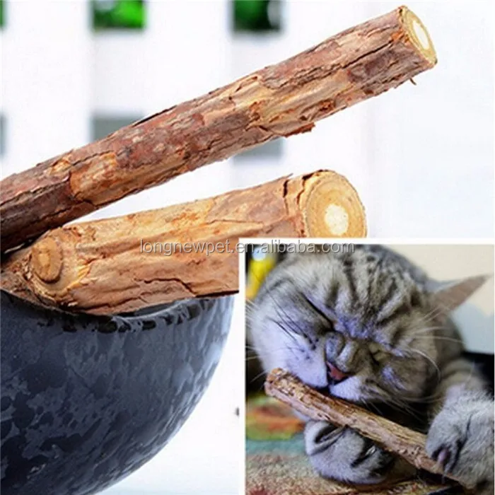 16 Pieces Thick Natural Matatabi Cat Catnip Stick Silvervine Organic ...