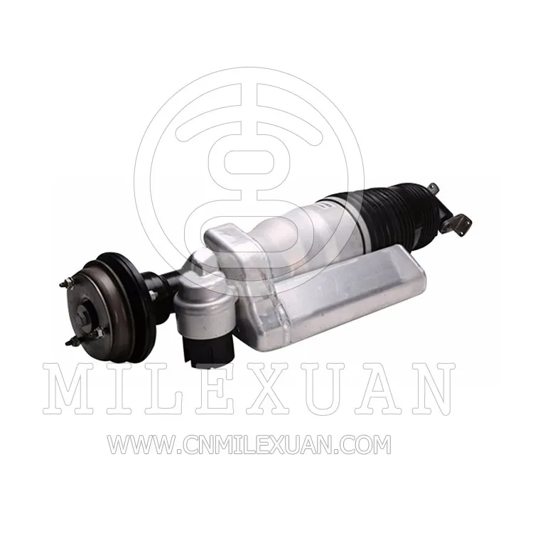 Milexuan Rear Left Small 211 320 1325 211 320 1525 211 320 07 25 ...