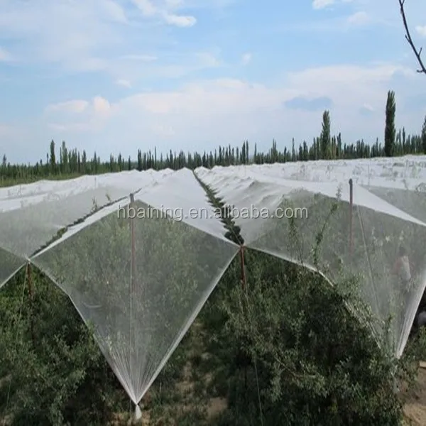 Agriculture Plastic Anti Hail Net/vineyard Use Anti Hail Netting/hale ...