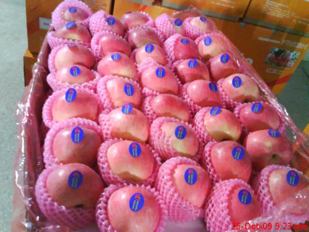 New Crop Yantai Origin Fuji Apple Chinese Fresh Sweet Green and Red ...