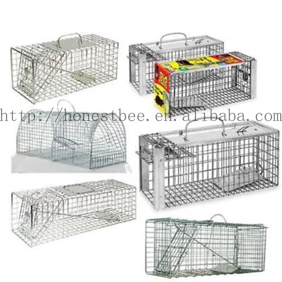 Family Metal Wire Galvanized Rat Trap - Humane Pest Control