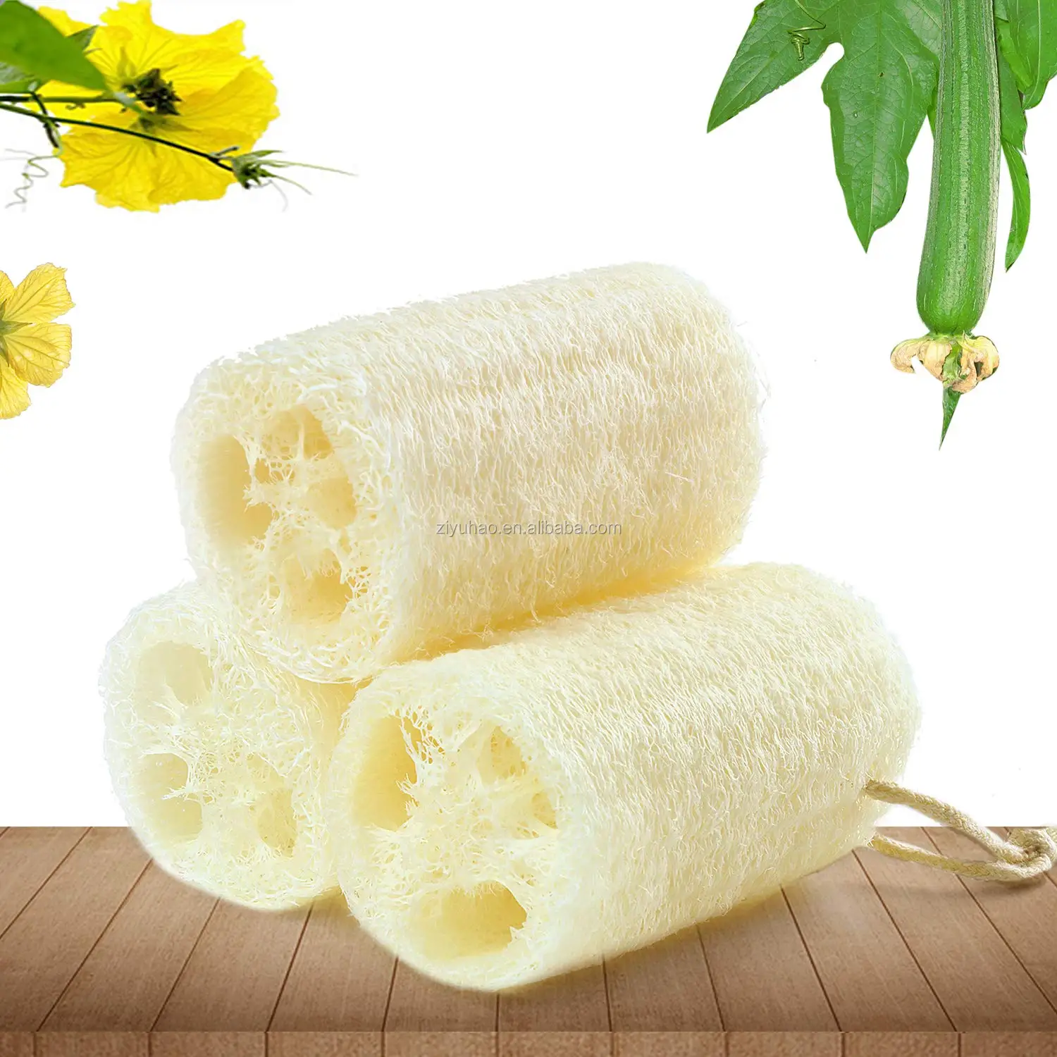 Natural Loofah Mesh Loofah Natural 7-10cm Diameter 4 Inches Loofah ...