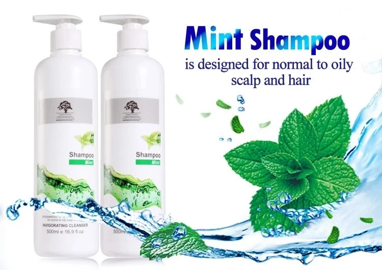 500 Ml Bio-plant Mint Shampoo Manufacturer In China - Buy Mint Shampoo ...
