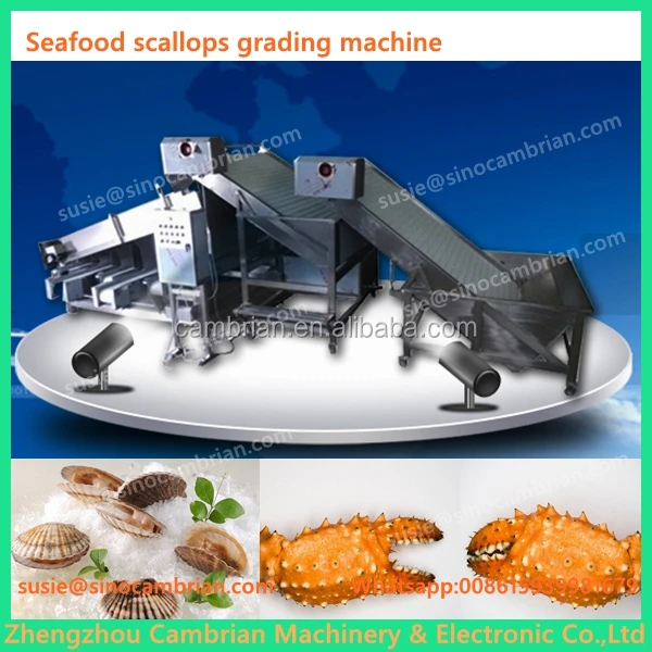 5 Levels Shrimp Grading Machine Crayfish Sorter With Rotation Roller ...