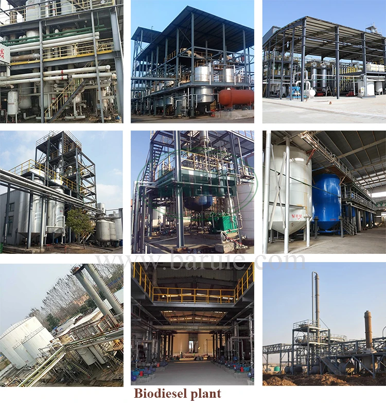 Methanol Biodiesel Production Plant - Efficient & Reliable