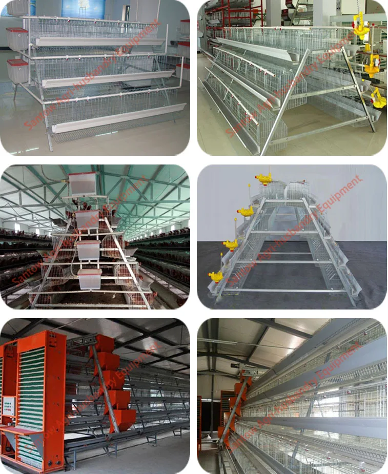 A Frame Layer Hens Chicken Cage Automatic Farm Equipment Chicken Laying ...