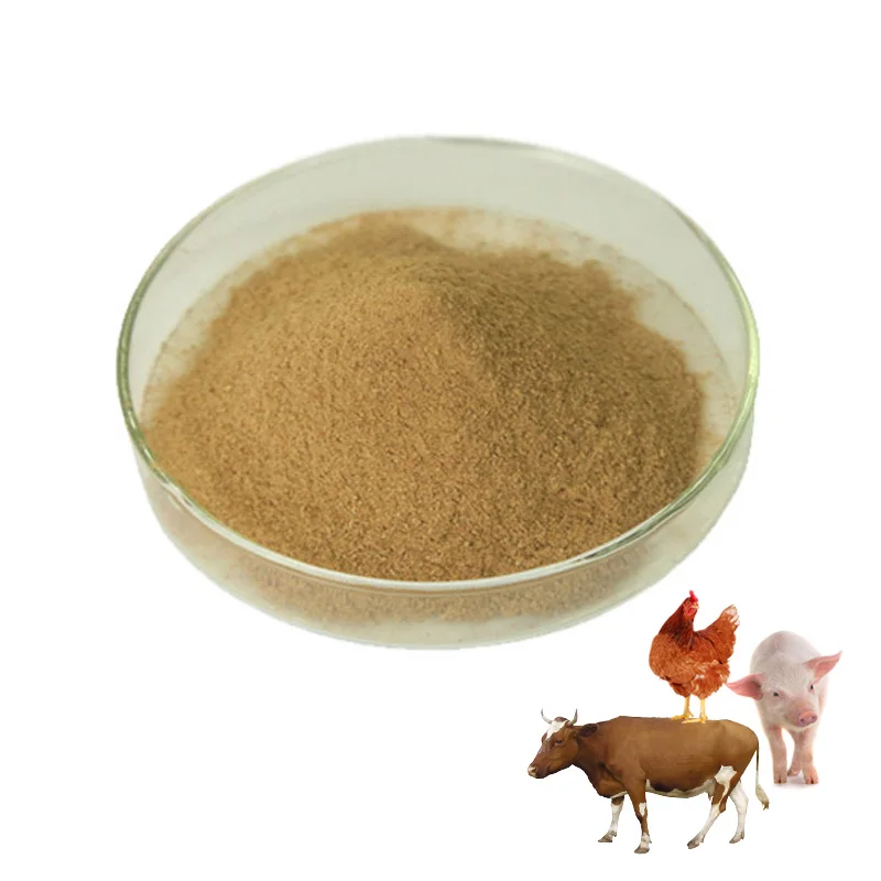 Popular Bulk Probiotic Powder Bacillus Subtilis To Keep Animals Health ...