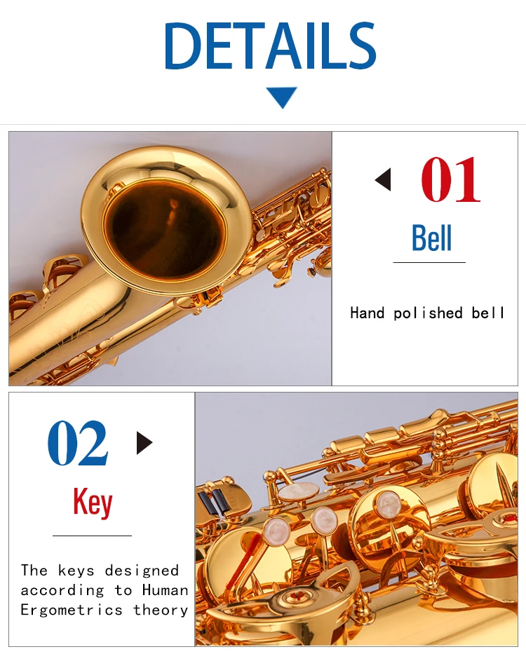 Professional Gold Lacquer Baritone Saxophone by TAISHAN