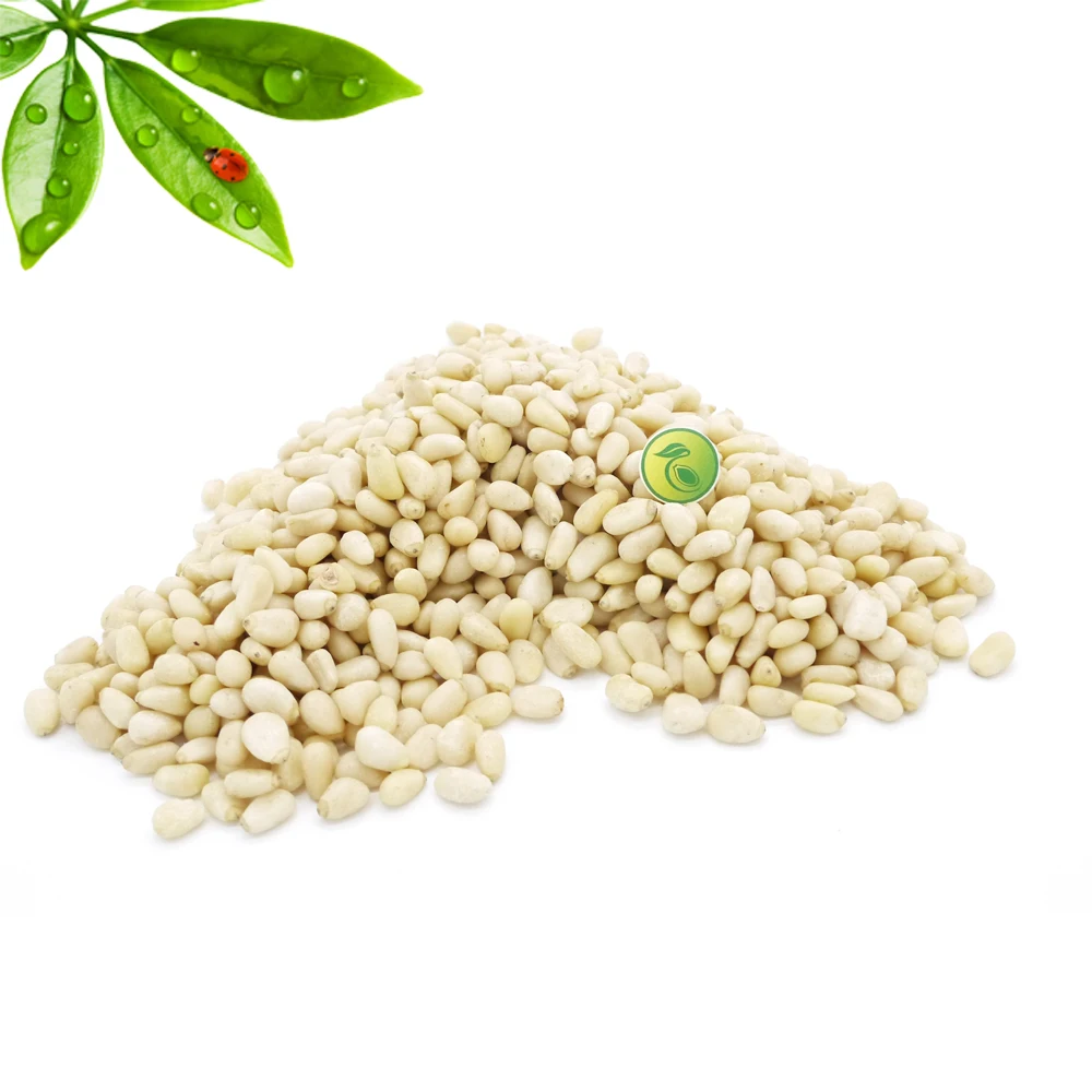 pine nuts siberian pine nut kernels china new pine nuts kernels grade ...