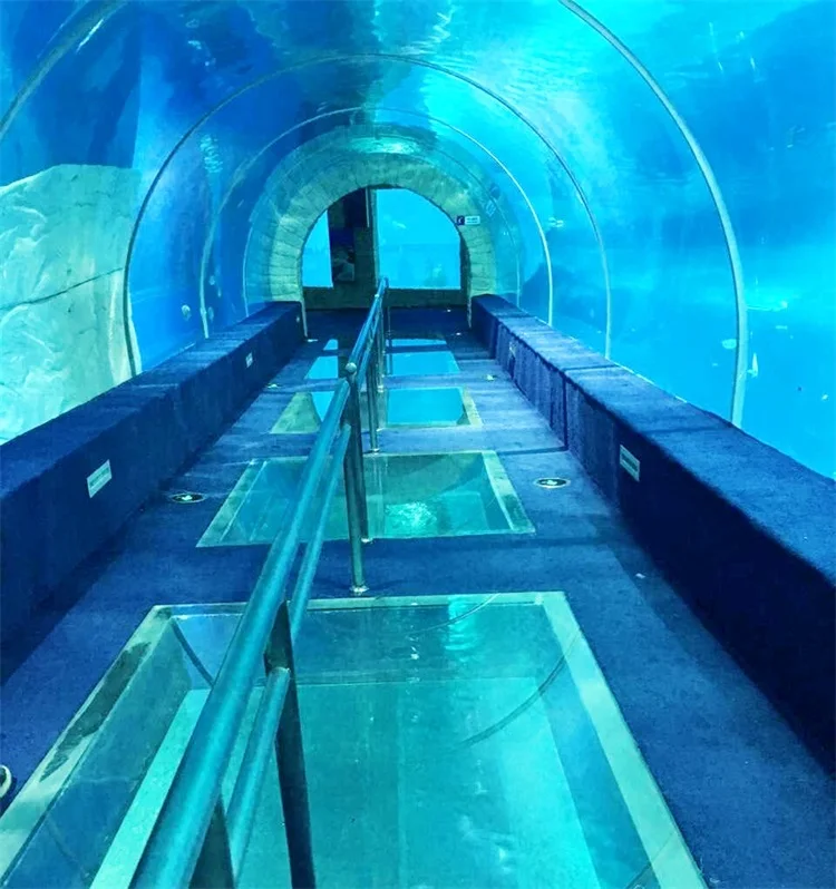 Customized Acrylic Aquarium Tunnel - Durable & Sustainable