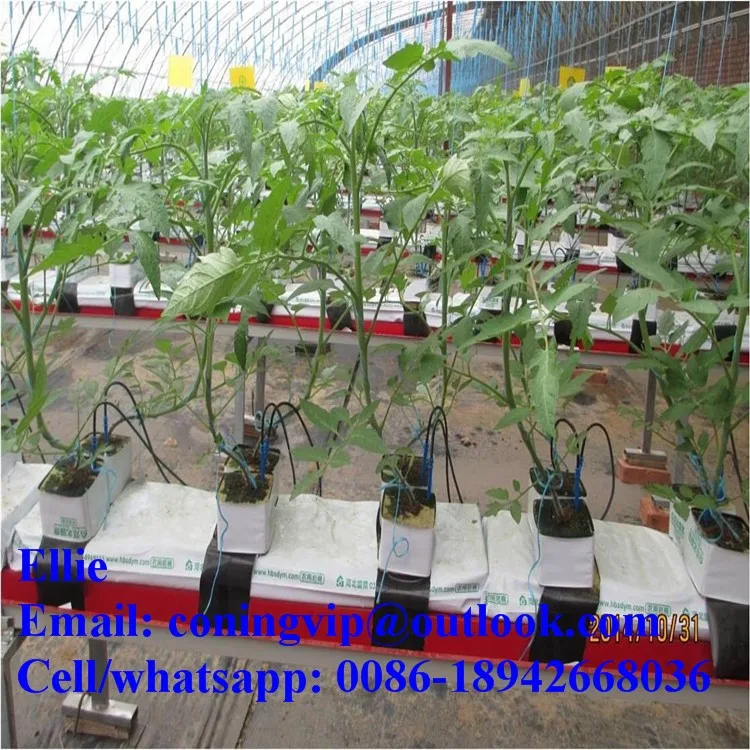 Agricultural Rock Wool Cubes Hydroponic Grow Medium - Buy Rock Wool ...