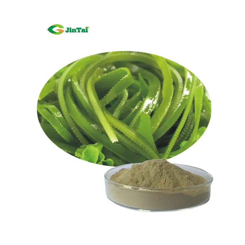 Natural Kelp Powder Seaweed Extract 100% Seaweed Extract Organic ...