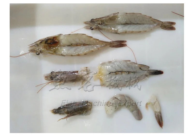 FCM118 Yuke Made Small Fish Filet Cutting Machine - Low Price