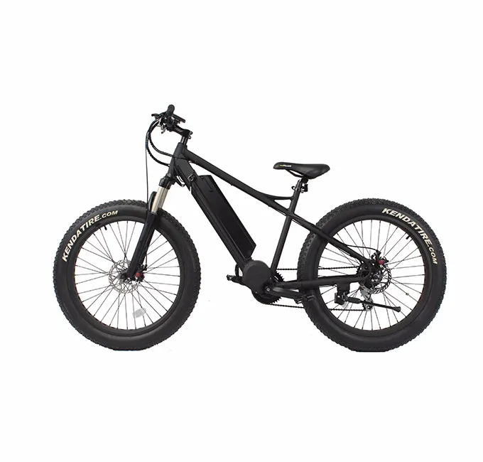 2018 Mozo Suspension Fork with 1000w Bafang Motor E-bike