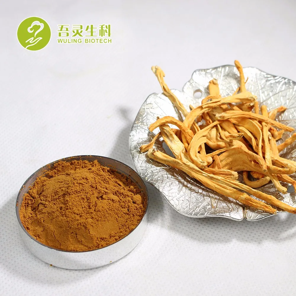 Cordyceps Mycelium Spores Cordyceps Cordysepin Militaris Mycelium ...