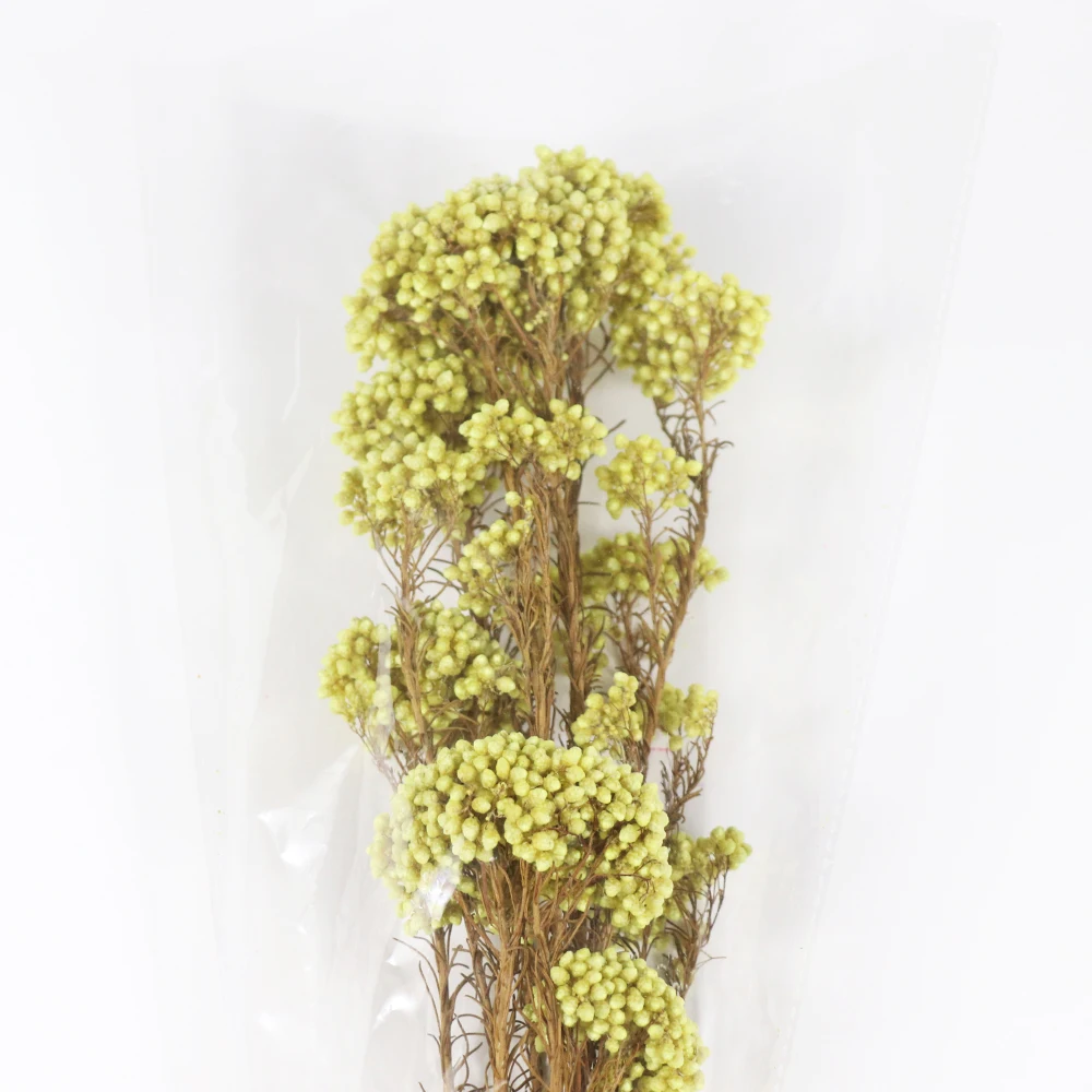 Ins Hot Sale Dried Flowers Bouquet With Material,Preserved Rice Flowers ...