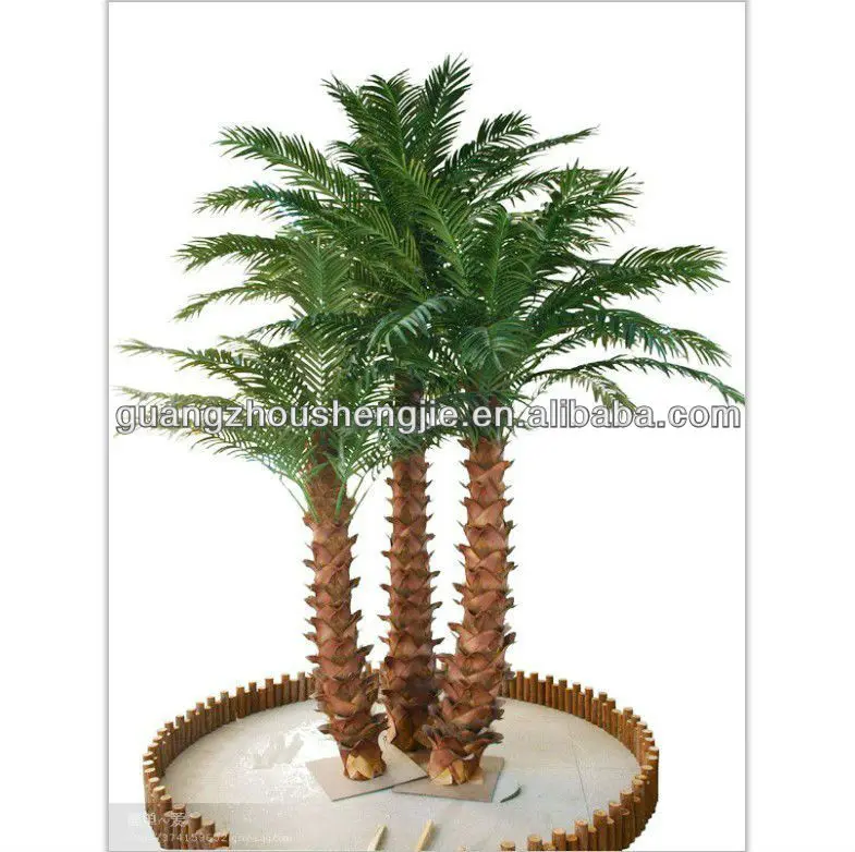 Foto italian, Molte gallerie fotografiche Molte su Alibaba.com ...