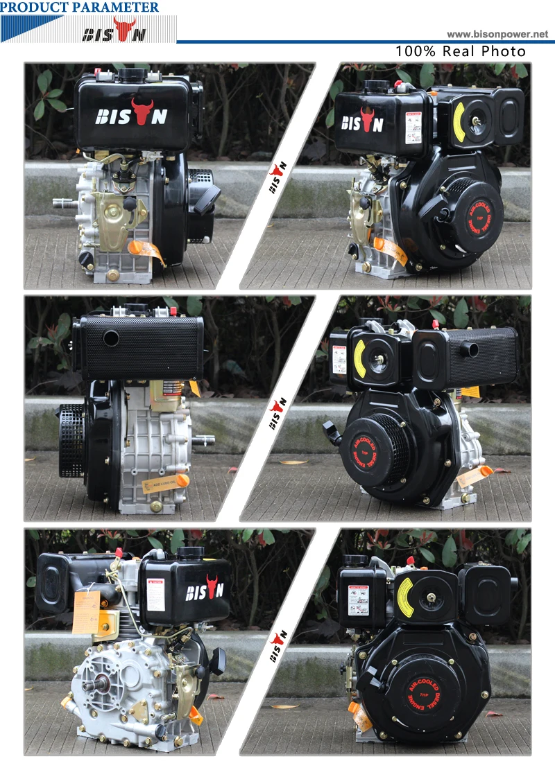 Bison (china) Power Diesel Engine 10hp 186f Manual /electric Start ...