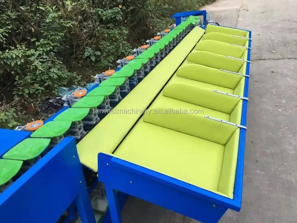 New Design Fruit Weight Grading Sorting Machine/mango Grading Machine ...