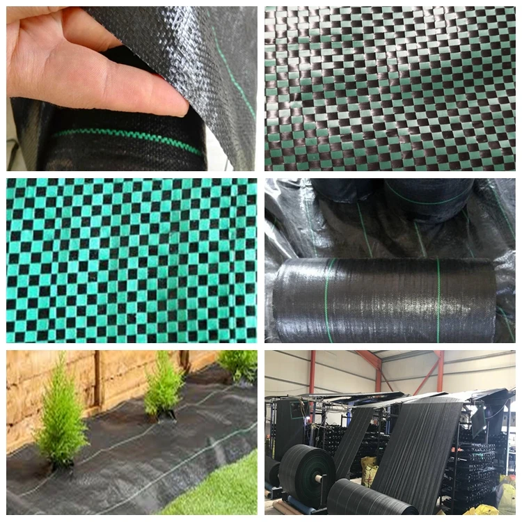 Dark Green Plastic Pp Weed Barrier Fabrics For Greenhouse Flooring ...