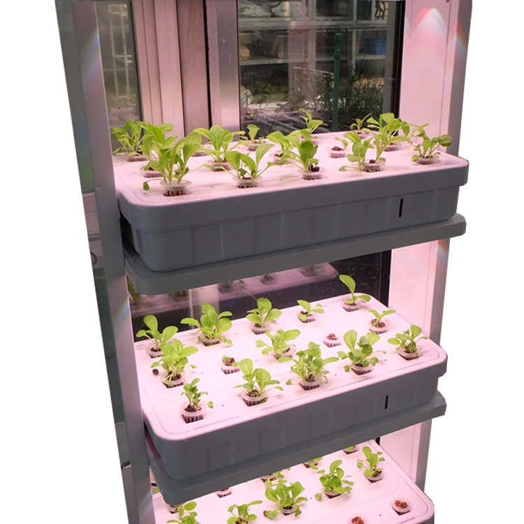 Skyplant Vertical Nft Hydroponic Systems For Lettuce - Buy High Quality ...